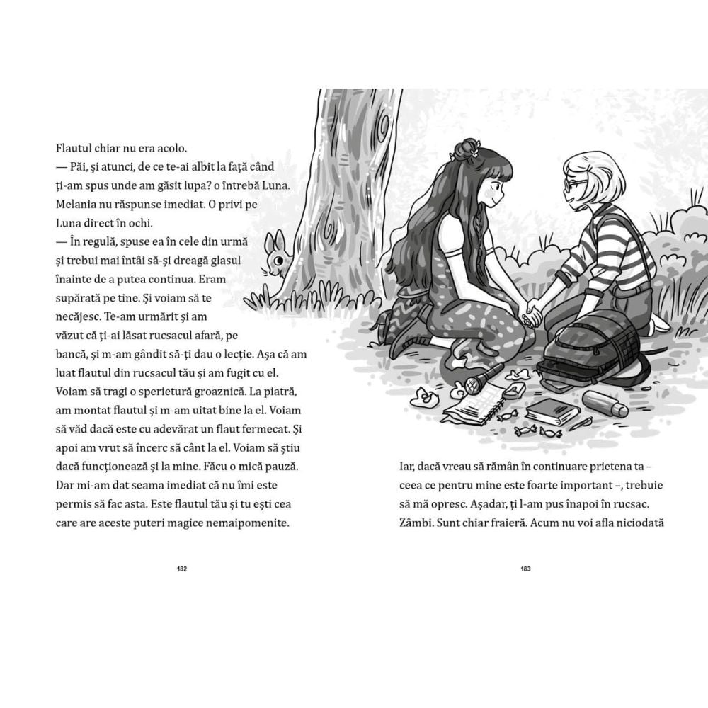 Luna si padurea magica, Volumul 2, Ratonii in cautarea unei case, Usch Luhn | Noriel