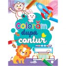 Carte de colorat Girasol, Coloram dupa contur | Noriel
